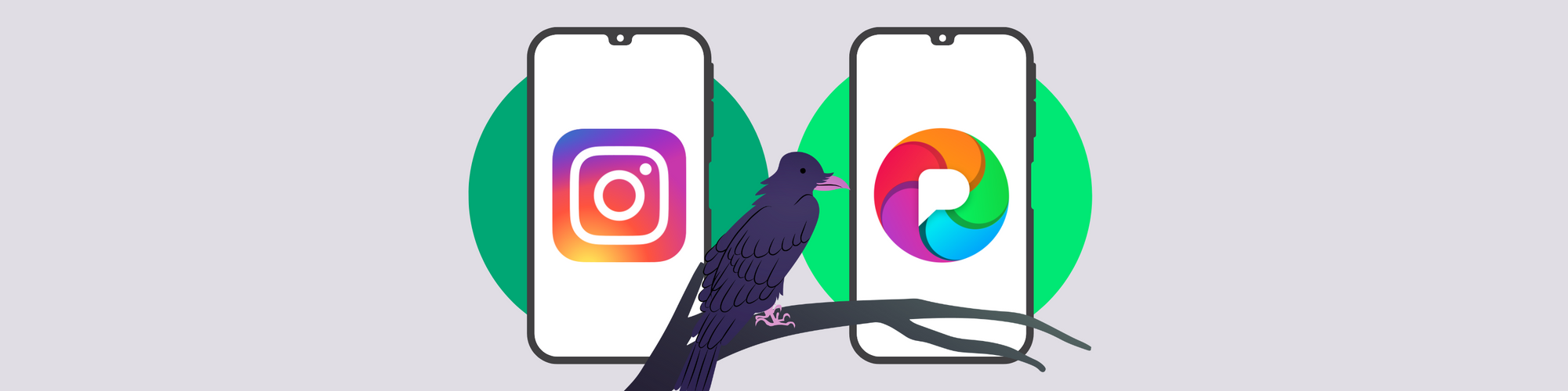PixelFed vs. Instagram - Which is right for you?